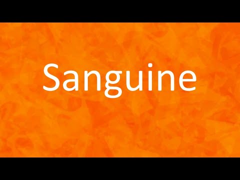 Pronunciation, meaning and usage of the word "Sanguine". (in Hindi and English)