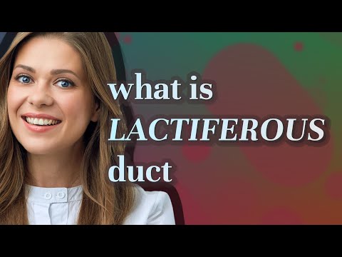 Lactiferous duct | meaning of Lactiferous duct