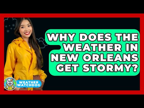Why Does the Weather in New Orleans Get Stormy? | Weather Watchdog News