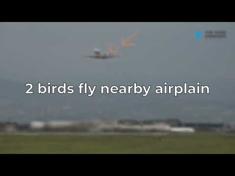 Spiegone Ventur for #airports
