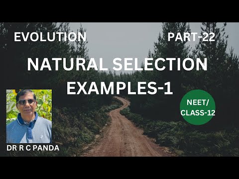 NATURAL SELECTION EXAMPLES-1 | EVOLUTION , PART-22 | NEET| CLASS-12 | Dr Ramesh Panda