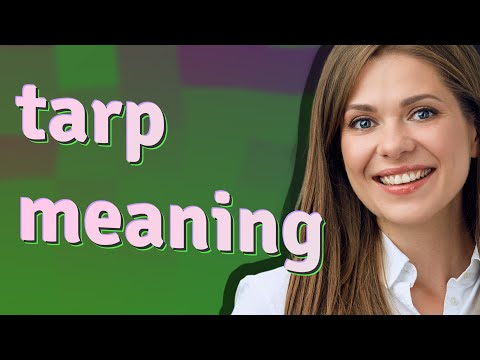 Tarp | meaning of Tarp