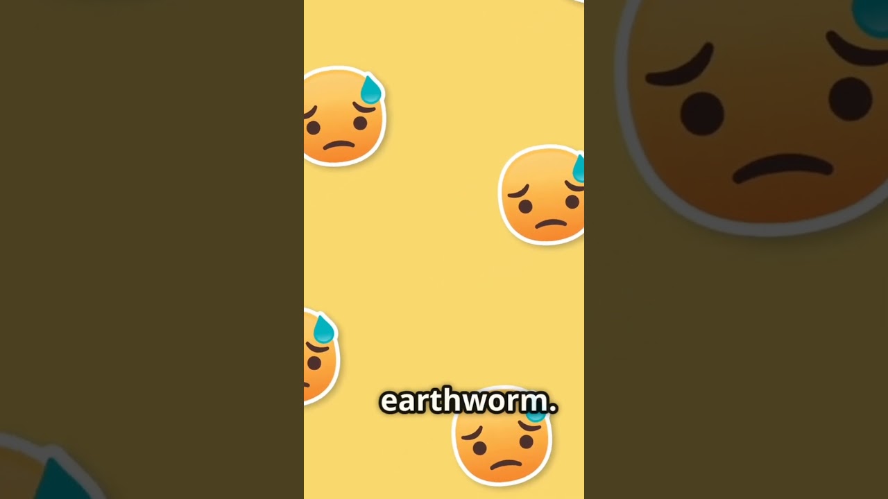 Why Animals Are Our Superheroes | Lessons of Love, Loyalty & Bravery🐾  @helpinghandsforanimals7072 ​