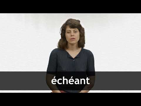 English Translation of “ÉCHÉANT” | Collins French-English Dictionary