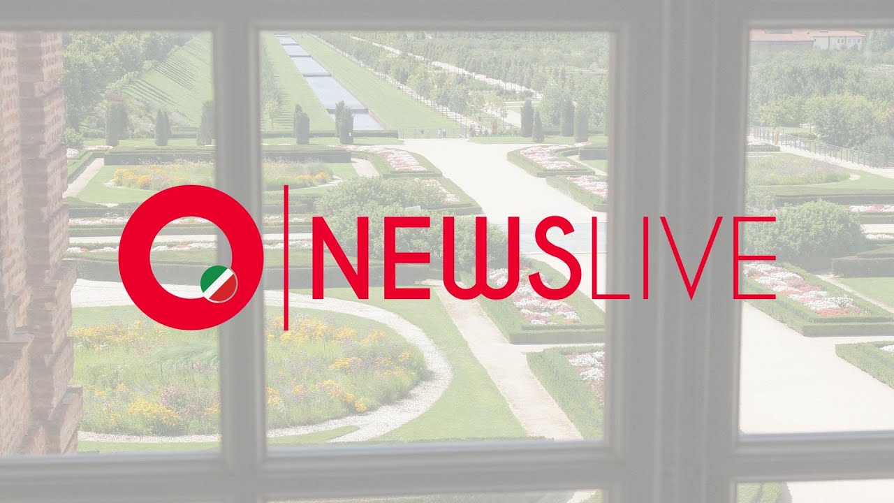 O|NEWSLIVE – Ep.11/2025 – Wheat, Flour and… The time has come!