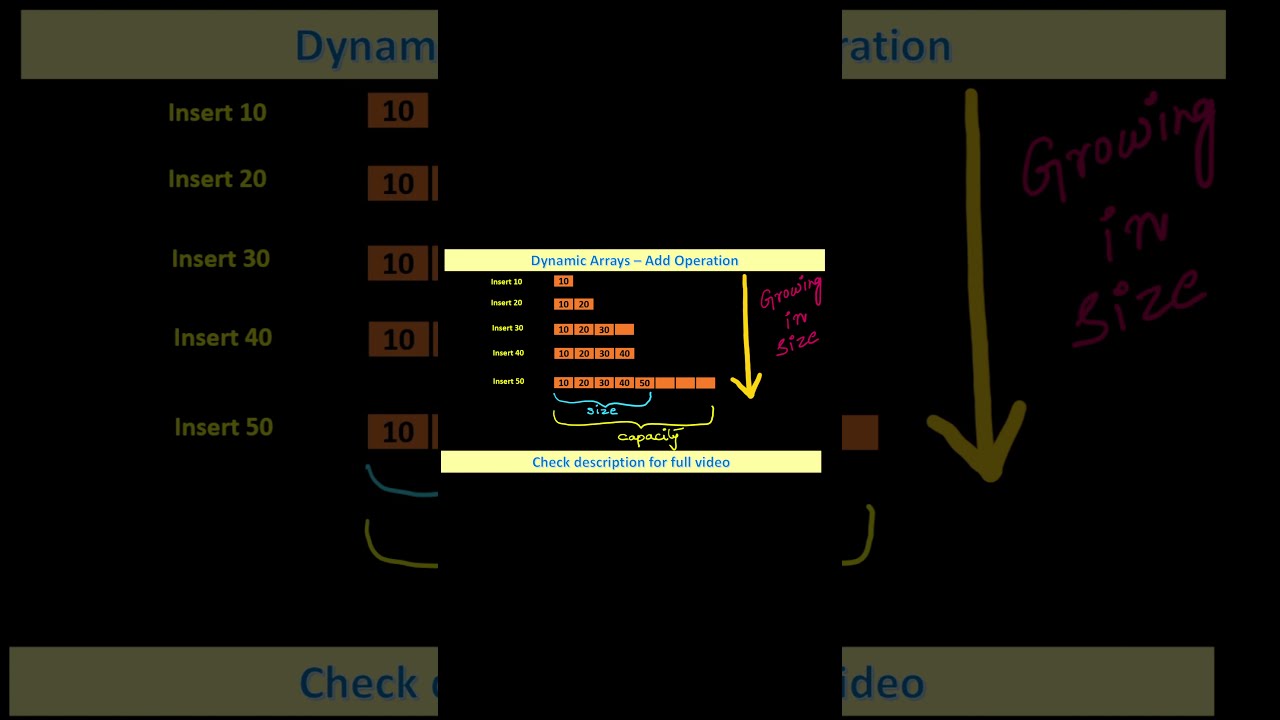 Dynamic Arrays Add Operation #shorts #ytshorts #youtubeshorts