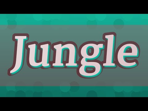 JUNGLE pronunciation • How to pronounce JUNGLE