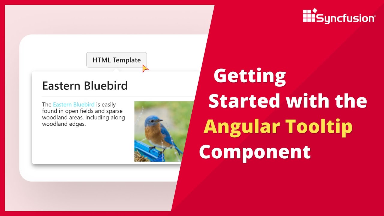 Getting Started with the Angular Tooltip Component