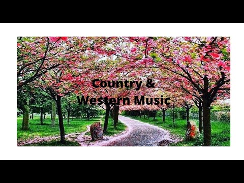 Country & Western Music - Country songs 2020 - Country music playlist- 65 mins