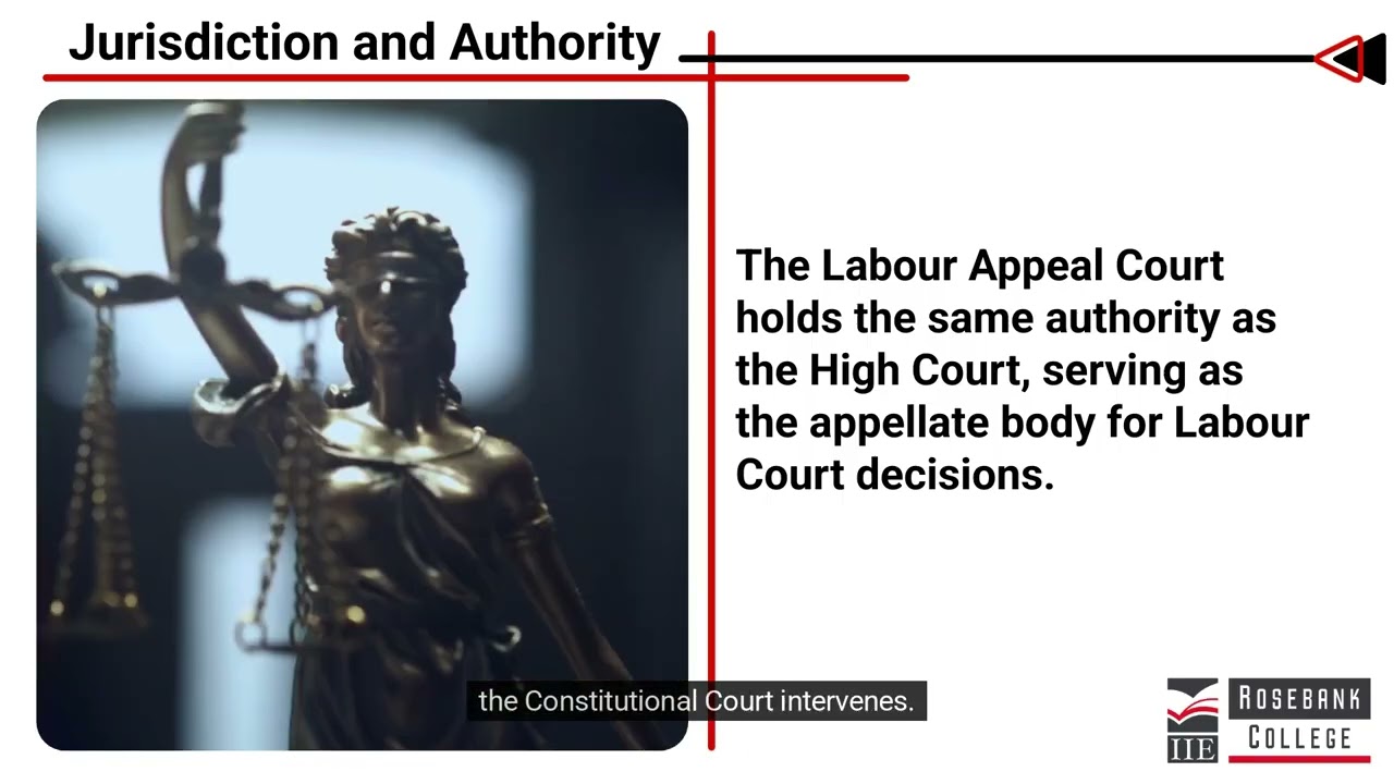 Describe the status and jurisdiction of the Labour Appeal Court (LU3/LO13)