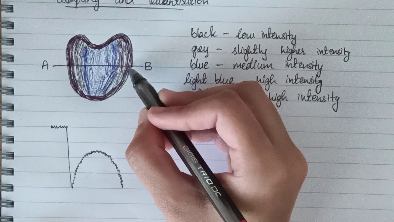 Sampling and Quantization in Digital Image Processing