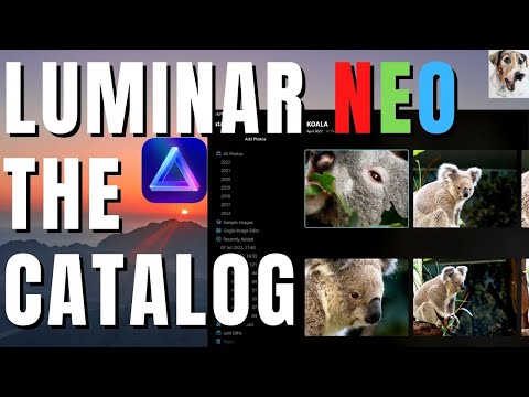 Luminar Neo Walkthrough: The Catalog