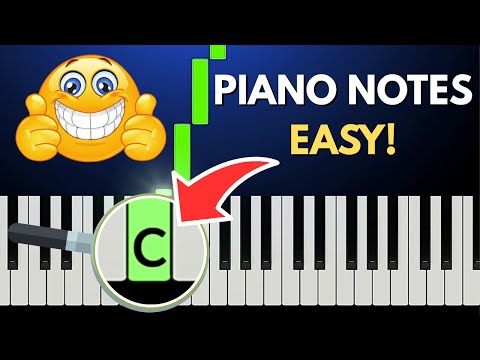 Easy Piano Notes on Piano – Visual Tutorial + First Melody Beginners
