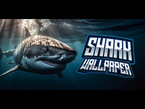 shark wallpaper #sharks