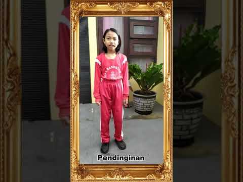 Cinta CVZ Gerakan Menirukan Pesawat Terbang