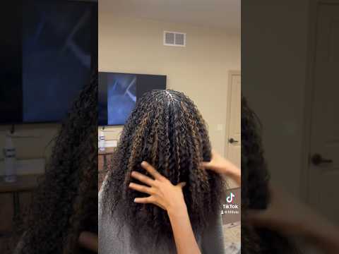 Micro tree braids with  human hair #microbraids #bohobraids #naturalhair