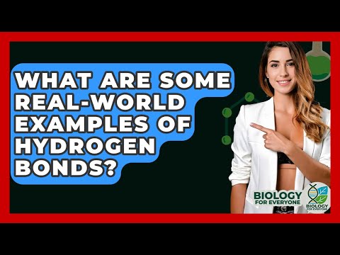 What Are Some Real-World Examples Of Hydrogen Bonds? - Biology For Everyone