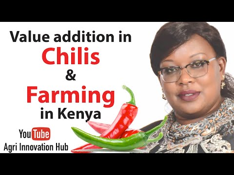 The largest CHILI PROCESSOR and FARMING in Kenya