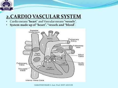 EE372 Biomedical Instrumentation Revision 1 MOD 1