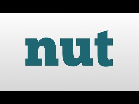 nut meaning and pronunciation