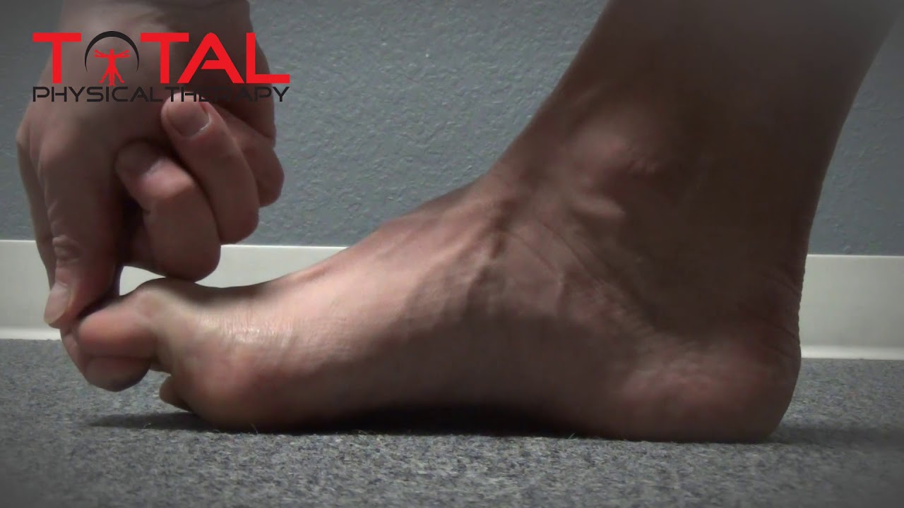 Toe flexion flexor hallucis brevis