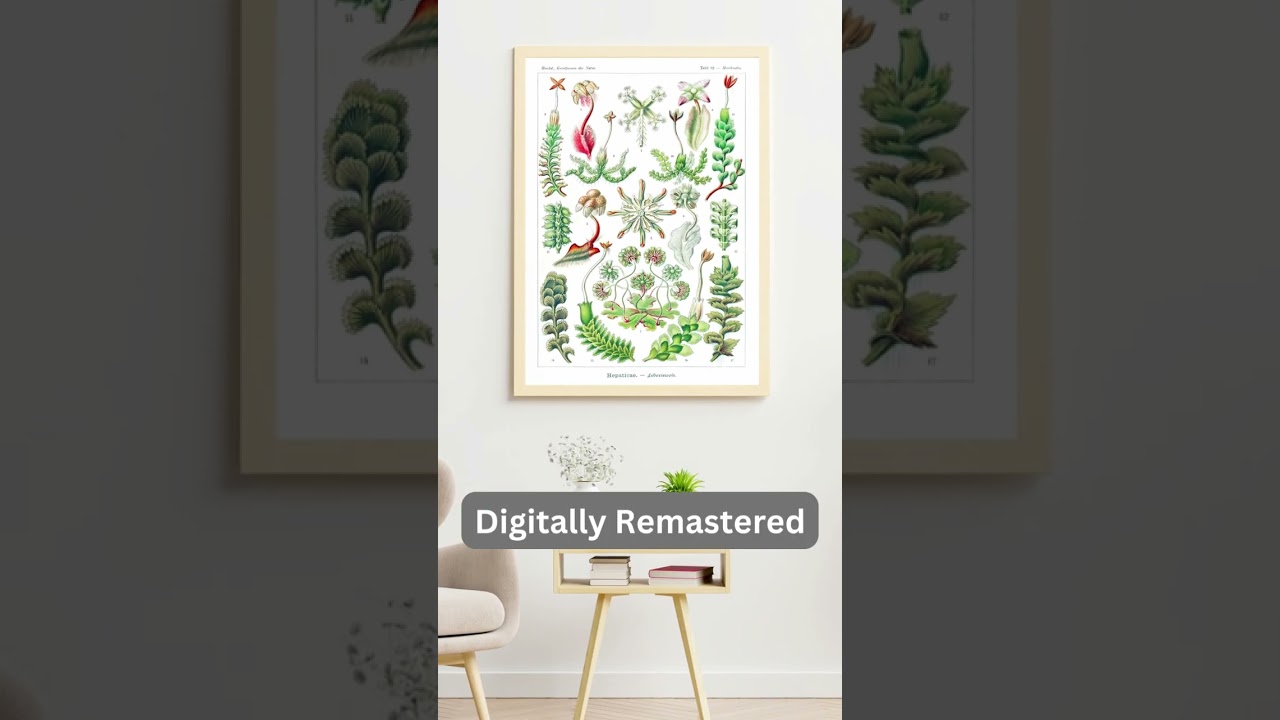 Perennial Flower Species Poster. Vintage Hand Drawn ca. 1900. #shorts #botanical #etsy #botany