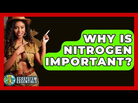 Why Is Nitrogen Important? - Ecosystem Essentials