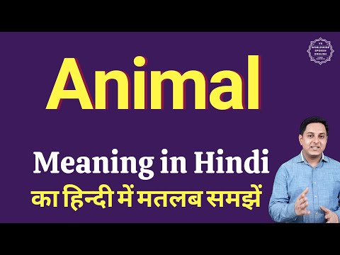 Animal meaning in Hindi | Animal ka kya matlab hota hai | daily use English words