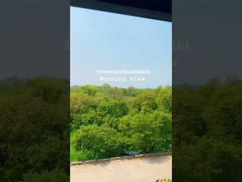 Lake view cafe hauz khas village the record room best view
