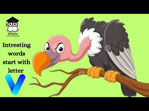 60 Words that start with letter Vl kids animation vocabularyfor kindergarten|Kidsea|Shazia Ahmed.