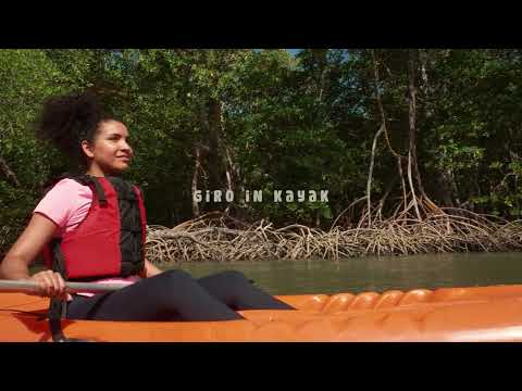 IT | Rotta delle Emozioni: tour in kayak sul fiume Caramupim - Cajueiro da Praia - Piauí