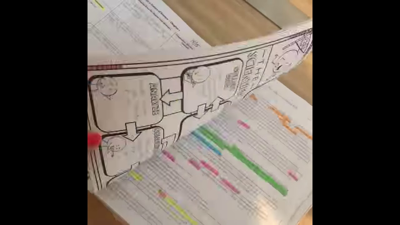 Interactive Notebooks