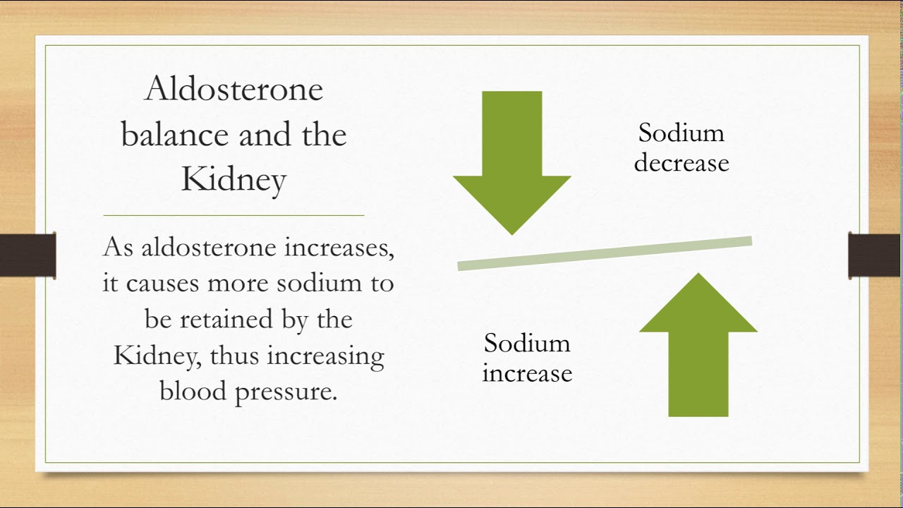 Assignment 4 Captioning