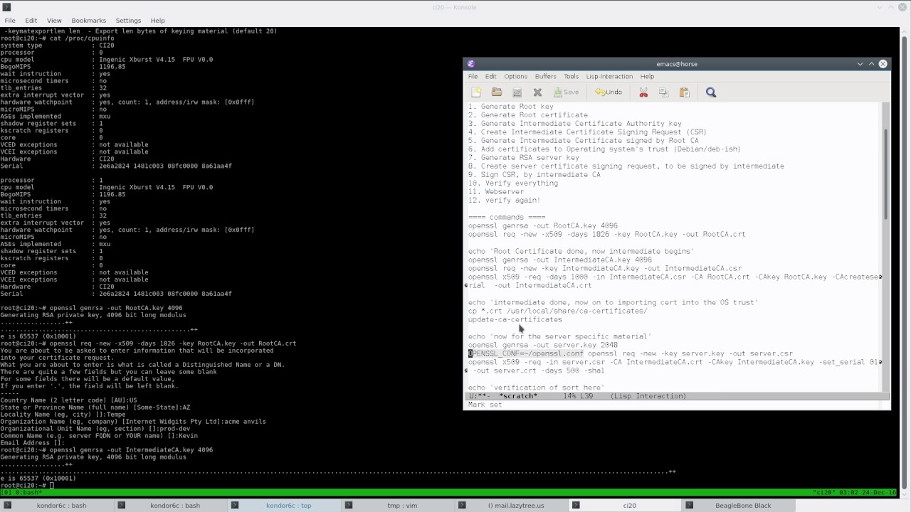 Generating SSL certificate chain in Linux
