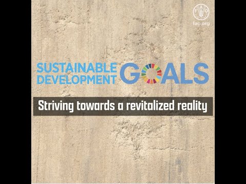 FAO SDGs video explainer