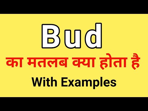 Bud Meaning in Hindi | Bud ka Matlab kya hota hai | Word Meaning English to Hindi