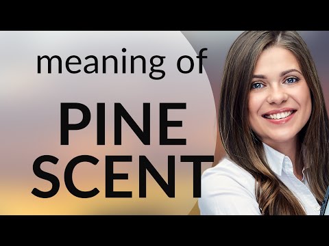 Unraveling the Fragrance: The Meaning of "Pine Scent"