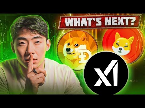 What is XAI95B? How to Buy Elon Musk's New Crypto Token (2025)