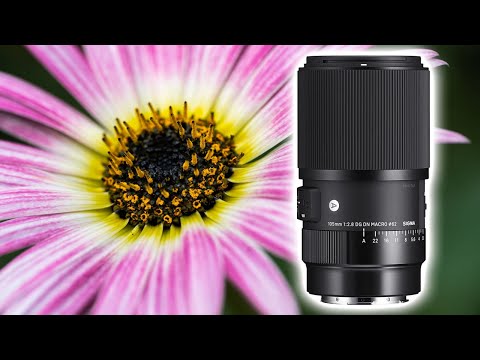 Sigma 105mm f/2.8 DG DN Art: Fantastic and affordable macro lens (260965)