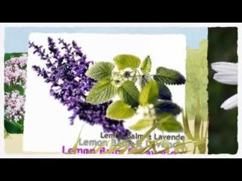 Alteril Natural Sleep Solution