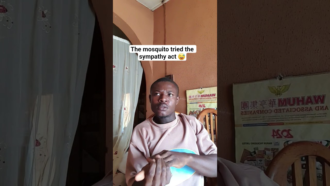 The mosquito tried the sympathy act 😅 #funny #comedy #memes #trend