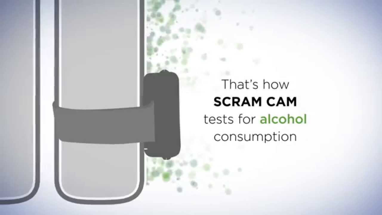 SCRAM Continuous Alcohol Monitoring®