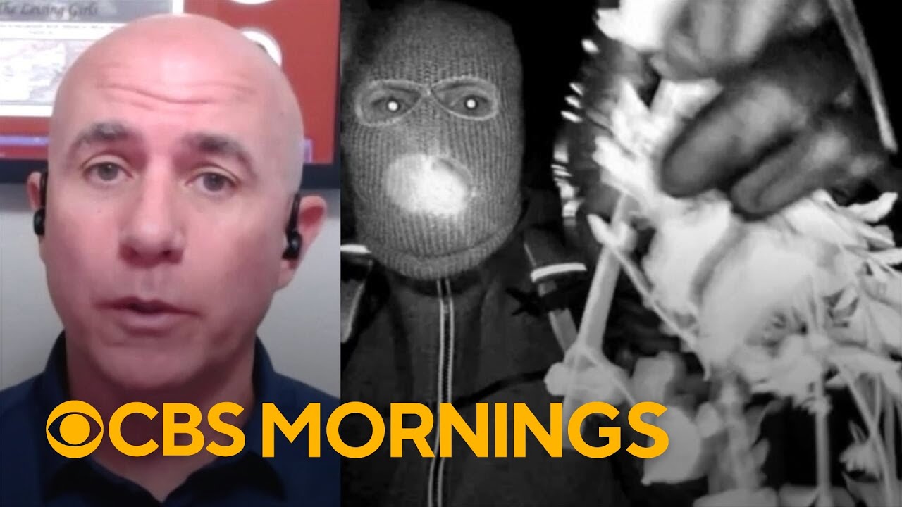 Former FBI agent breaks down new videos of subject in Nancy Guthrie case