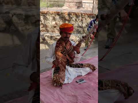 Udja Kale Kawan (HD) - Gadar - | Ravanahatha Ravan hatha | Jodhpur | Rajasthani Folk Music