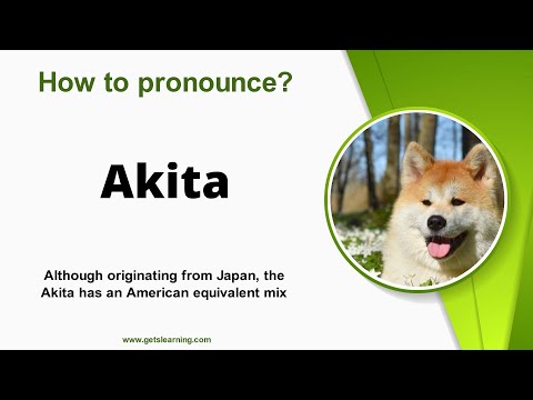 How to pronounce Akita Correctly in English
