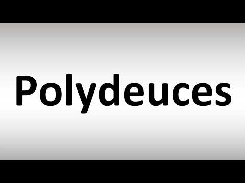 How to Pronounce Polydeuces