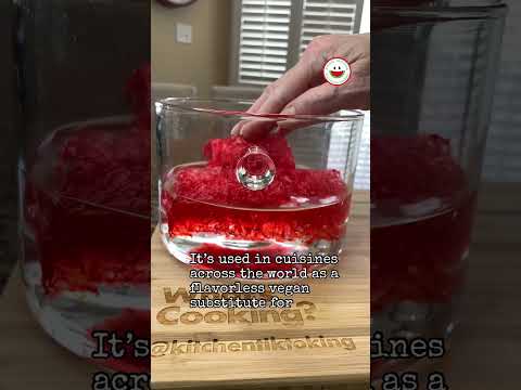 What is agar agar?