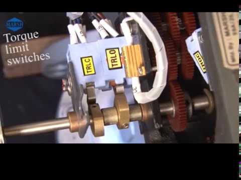 Torque Limiters at Best Price in India