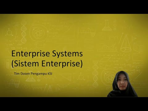 Enterprise Systems : Transaction Processing Systems