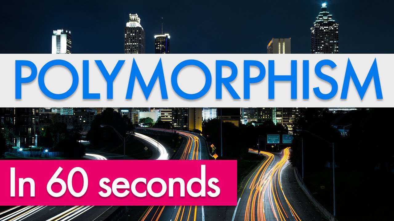 PHP in 60 SECONDS: Polymorphism